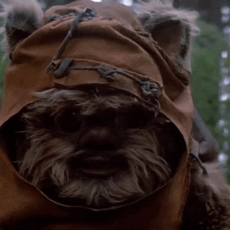 Star Wars Han Solo Great Ewok Trap S Find And Share On Giphy