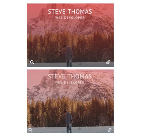 CSS Image Hover Effects With Text Animation Example