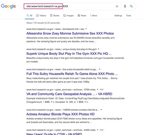 Hacked Government Web Sites Showing Adult Content In Google Search