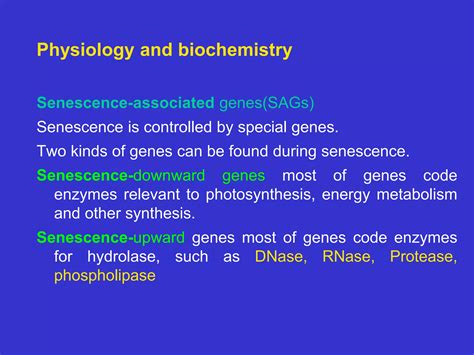 Ageing And Senescence Ppt