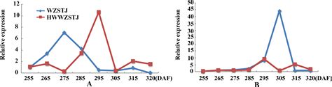 Comparative Transcriptome Analyses Of A Late Maturing Mandarin Mutant