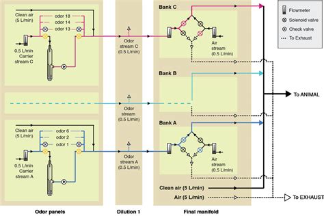 Schematic Of Odor Delivery System For Multiple Odors And Mixtures