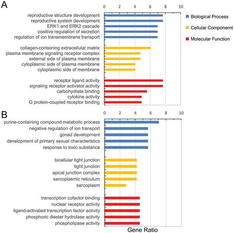 functional enrichment of dif mrnas a upexpressed dif mrnas are