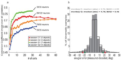 Optimal Decoding Was Accomplished Using Populations Of 30 Neurons To