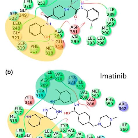 Conformation Of Activation Loop Of The Active And Inactive C Yes Kinase Download Scientific