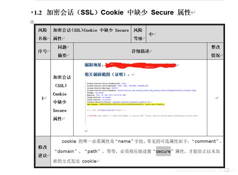 加密会话（ssl）cookie中缺少secure属性解决方案 Csdn博客