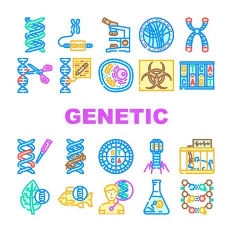 Genetic Engineering Crispr Gene Icons Set Vector Stock Illustration Illustration Of