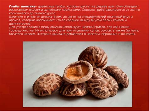 Обработка, подготовка редких видов овощей, грибов