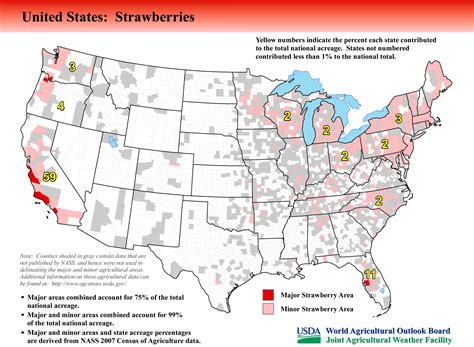 Us Strawberry Production