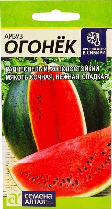 15 лучших сортов арбузов 2025 с фото и описанием