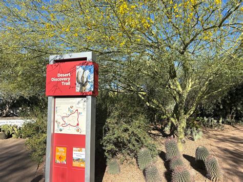 Why This Desert Garden Should Be Your First Stop In Phoenix The Manual