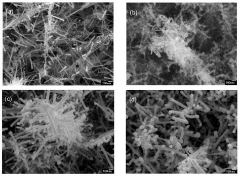 Engineering Sers Properties Of Silicon Nanotrees At The Nanoscale