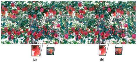 Yolov5 Acs Improved Model For Apple Detection And Positioning In Apple Forests In Complex Scenes