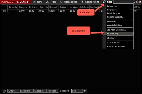 I Dont See My Apex Account In Ninjatrader I Only See My Sim Account