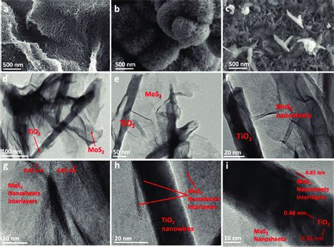 Morphological Characterizations Of The Prepared Samples Fe Sem Images