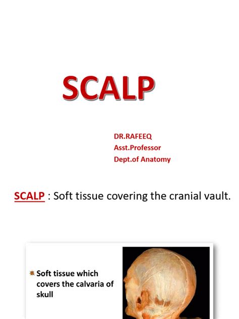 Scalp New Notes Pdf