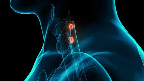 Shortcut Hypercalcaemia And Hypocalcaemia Primary Care Notebook