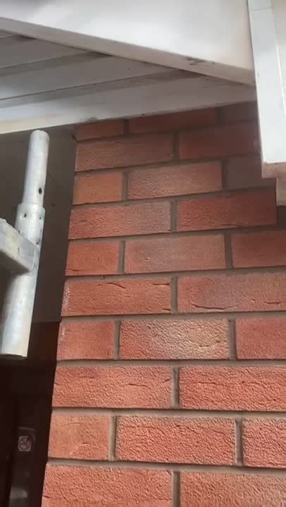 [video] John Bellis On Linkedin Perfect Pointing With No Second Clean