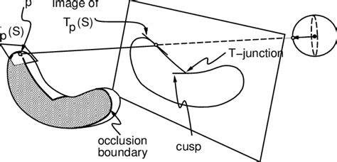 The Occluding Contour Each Point P On The Occlusion Boundary Projects Download Scientific
