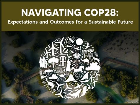 Forest Outcomes Below Ideal Surpassing Expectations Cop28