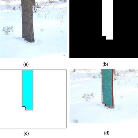 Representation Of Classification And Boundary Detection A Is An