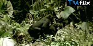 Tera Patrick Breasts Scene In Screw Tnaflix Com Tera Patrick Breasts Scene In Screw Tnaflix Com