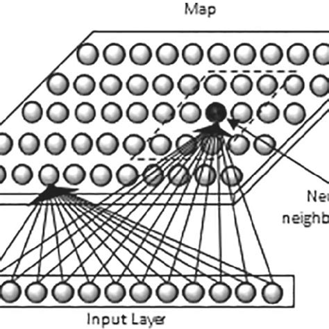 Self‐organized Map Architecture Download Scientific Diagram