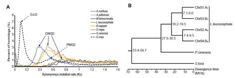 基因组所樊伟团队成功解码云实亚科七种经济物种的高质量基因组及其演化历史 生物通