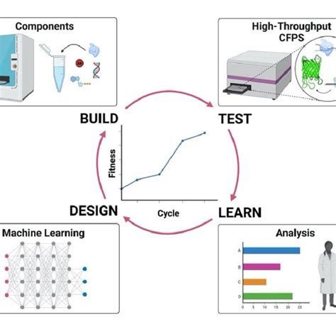 design build test learn cycle involving machine learning the figure