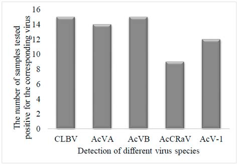 Development Of A Multiplex Rt Pcr For Simultaneous Detection Of Five Actinidia Viruses
