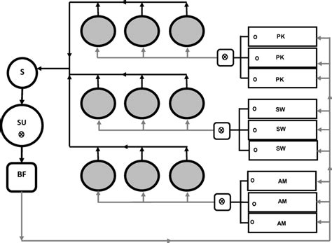 Schematic Presentation Of The Experimental Aquaponic System Not Drawn Download Scientific