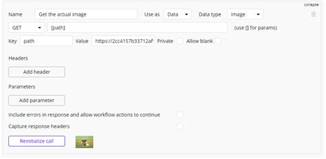 upload image urls to bubble storage from backend workflow database