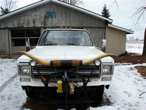 Truck Bull Horns At Thomas Pritchett Blog