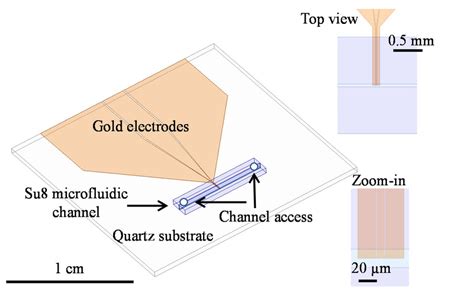 Schematic Representation Of The Microwavemicrofluidic Sensor Hfss