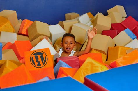 Wordpress Thèmes And Plugins Différence Téléchargement Meilleurs