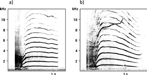 examples of single voiced a and two voiced b killer whale calls