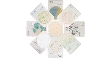 Compactdry Tcr Total Count Rapid Is Added To The Hardy Diagnostics Product Offering