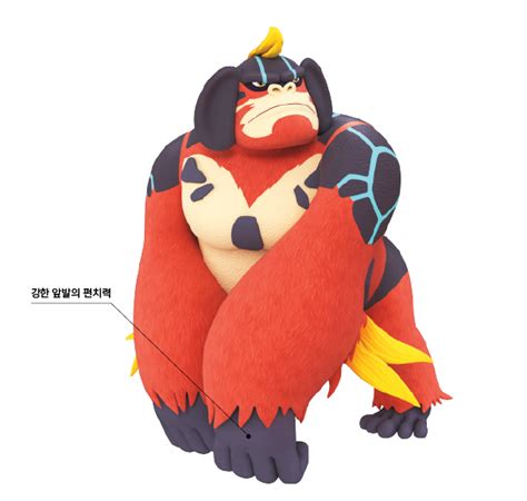 정글에서 살아남기 이그라스 도감 오랑우탄 네이버 블로그