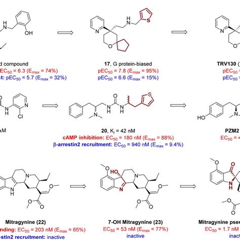 Pdf Biased Ligands Of G Protein Coupled Receptors Gpcrs Structure Functional Selectivity