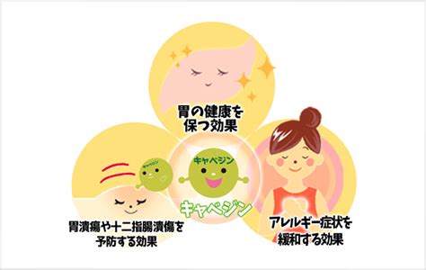 キャベジン 成分情報 わかさの秘密