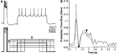 Artificial Tri Phasic Experimental Design A Top Intracellular Voltage