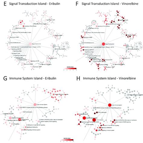 Z Score Heat Map Showing Baseline Gene Expression Across 100 Ccle Cell Download Scientific
