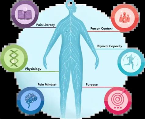 Prism Model Integrative Pain Science Institute