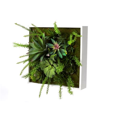 Assorted Succulents Wall Hanging Greenery 199050dandw Silks