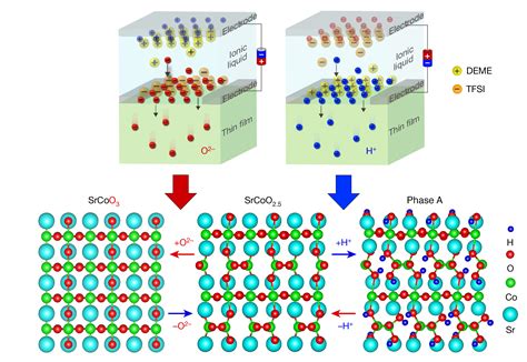 A Multifunctional Material With Electric Field Control