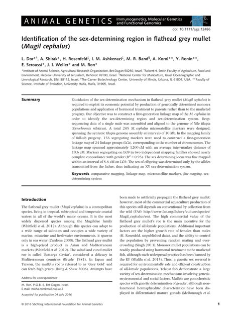 Pdf Identification Of The Sex Determining Region In Flathead Grey