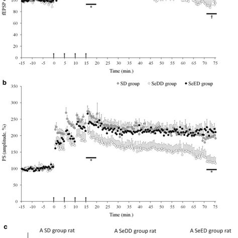 The Hippocampal Trisynaptic Circuit Based On Extensive Anatomical And Download Scientific