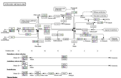 Metagenomicspractical Hands On Workflow For Learning Metagenomics Including Dna Mapping