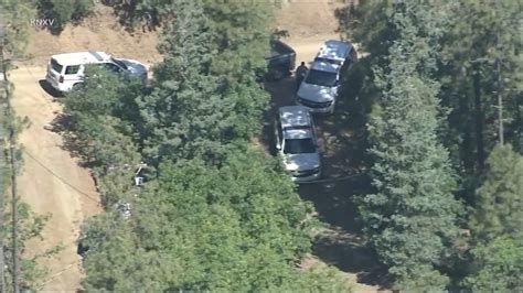 Bear Kills Man In Prescott Arizona Bear Shot Dead By Neighbor Abc7