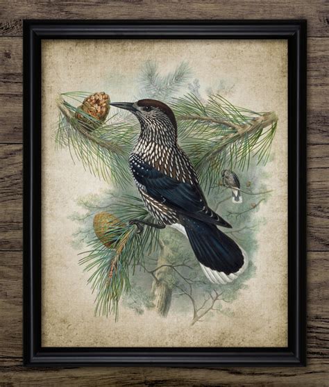 Nutcracker Bird Wall Art Vintage Digital Print Printable Nutcracker